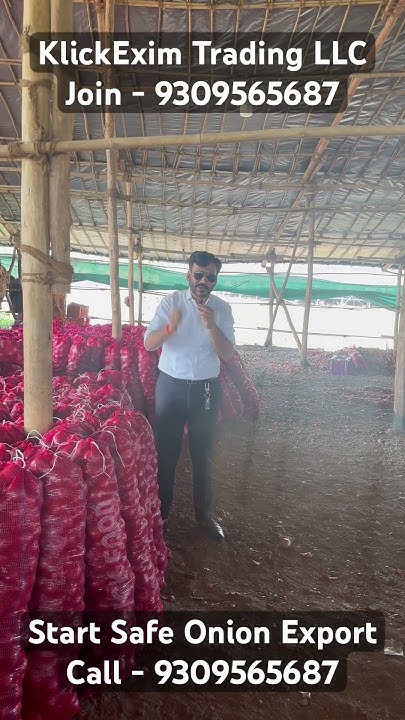 800$ FOB Onion Export Watch Container Loading Start Red Onion Export From India - YouTube