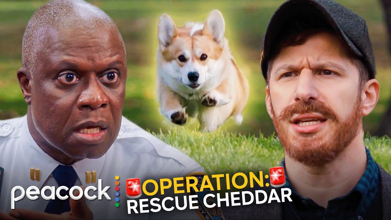 Brooklyn Nine-Nine | Jake Goes Undercover to Help Captain Holt Save ...