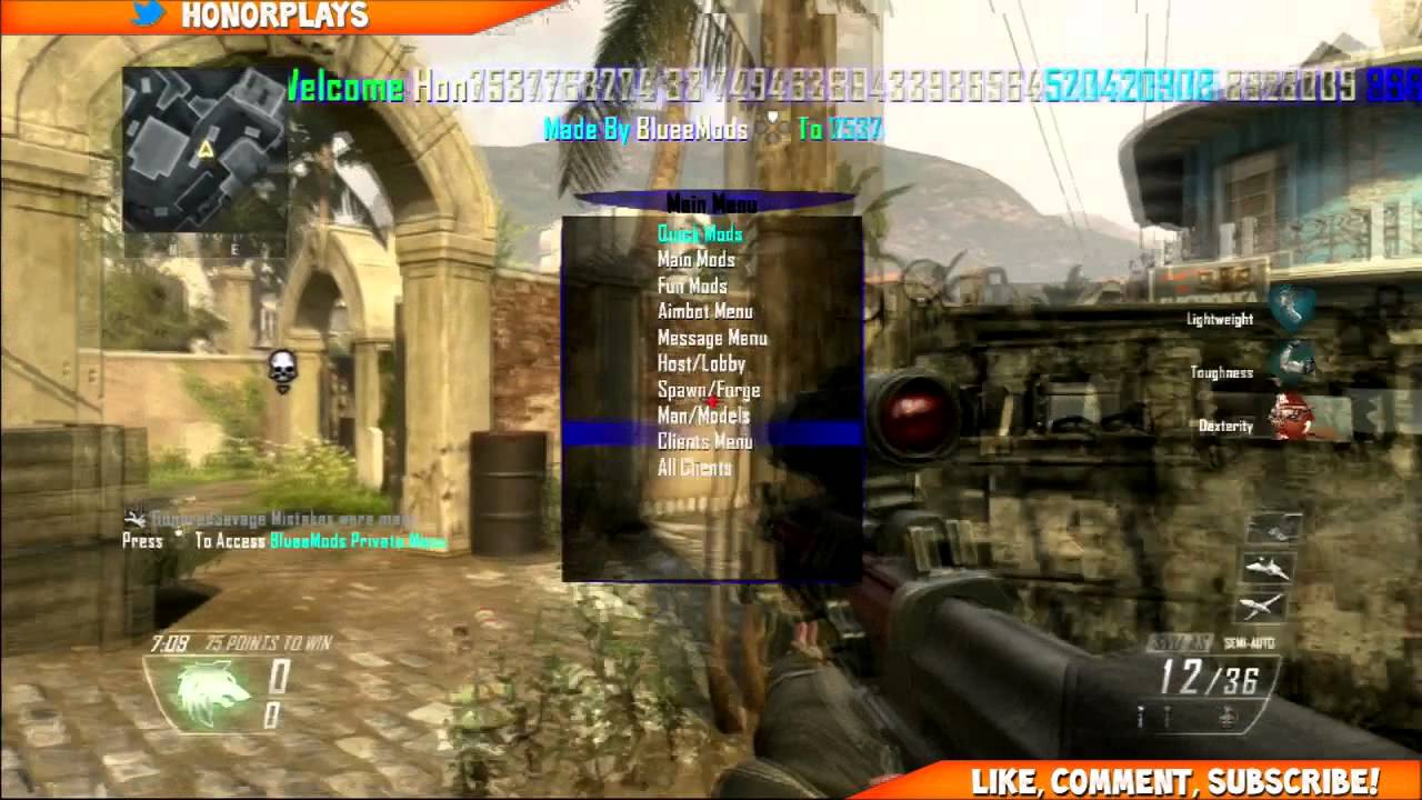 BO2: BlueeMods Private Patch! + Download! [HD] - YouTube