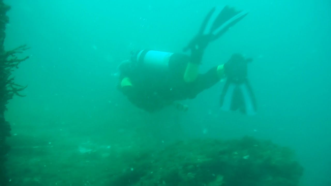 Wreck diving HMAS Swan - YouTube