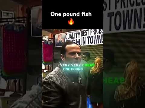one pound fish🔥 - YouTube