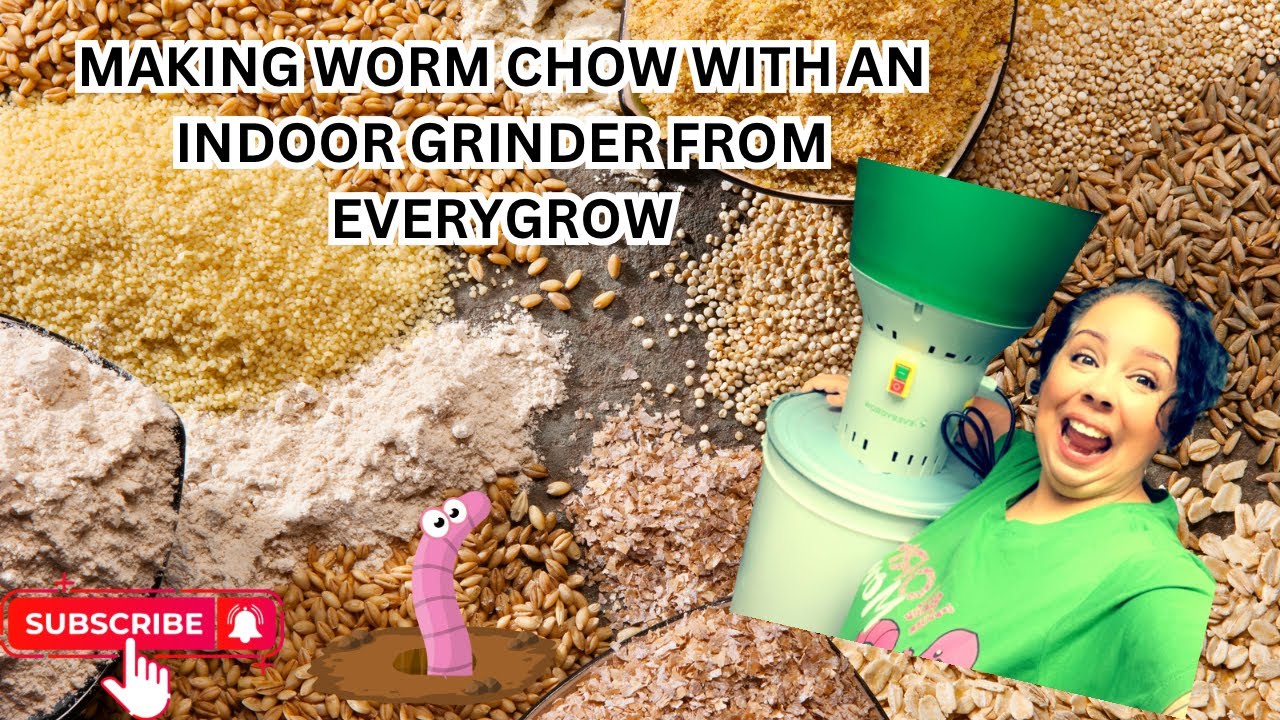 New Worm Chow grinder #wormfarming - YouTube