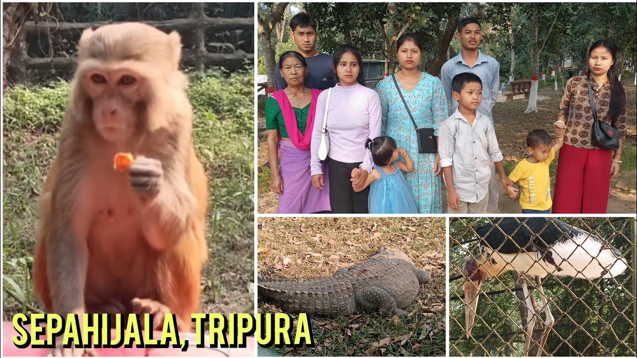 Sepahijala Zoological Park || Tripura || 2025 @JMLifeExpress - YouTube