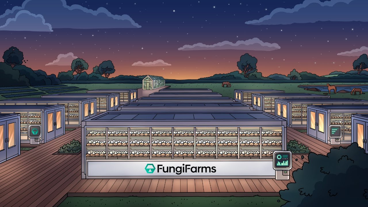 Fungi Farms - Lion's Mane Mushroom Farm - YouTube