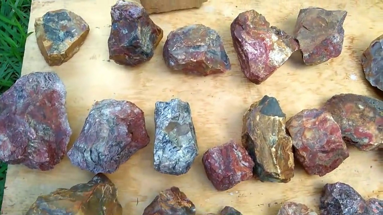 MADEIRAS PETRIFICADAS COLORIDAS - YouTube