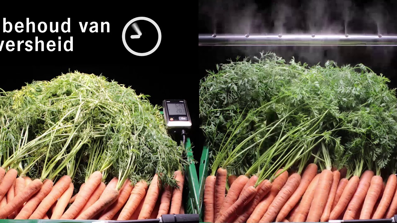 Dry Misting - YouTube