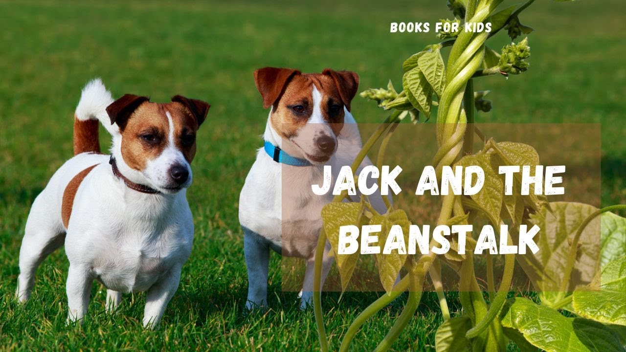 Jack and the Beanstalk - English Fairy Tale Story for Kids - YouTube