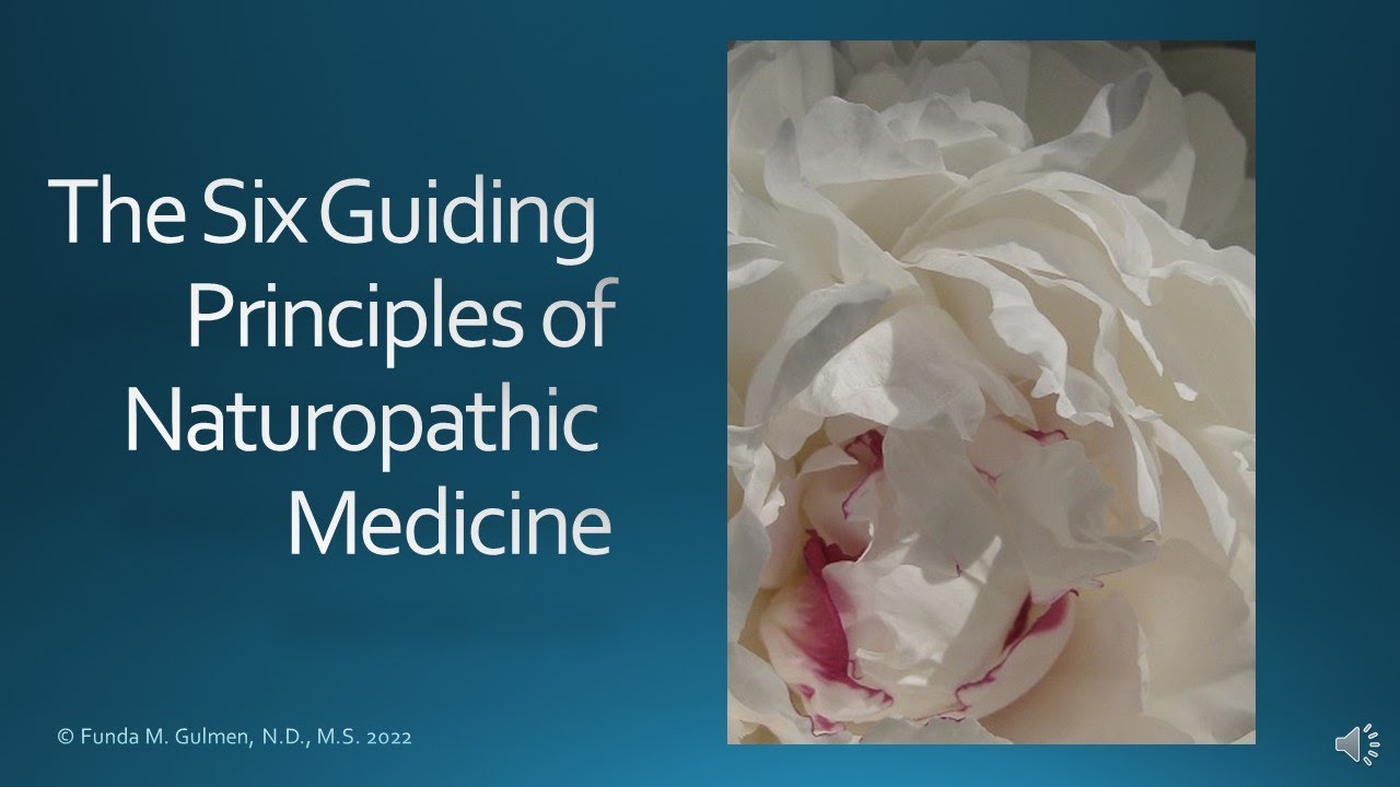 The Six Guiding Principles of Naturopathic Medicine - YouTube