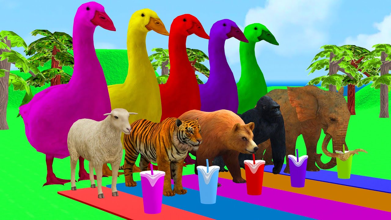 Choosing the Right Color Games with Lamb Gorilla Lion Bear Cow Tiger ...