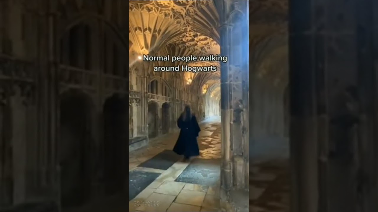 Normal people vs Snape walking on Hogwarts 🤣🤣 - YouTube