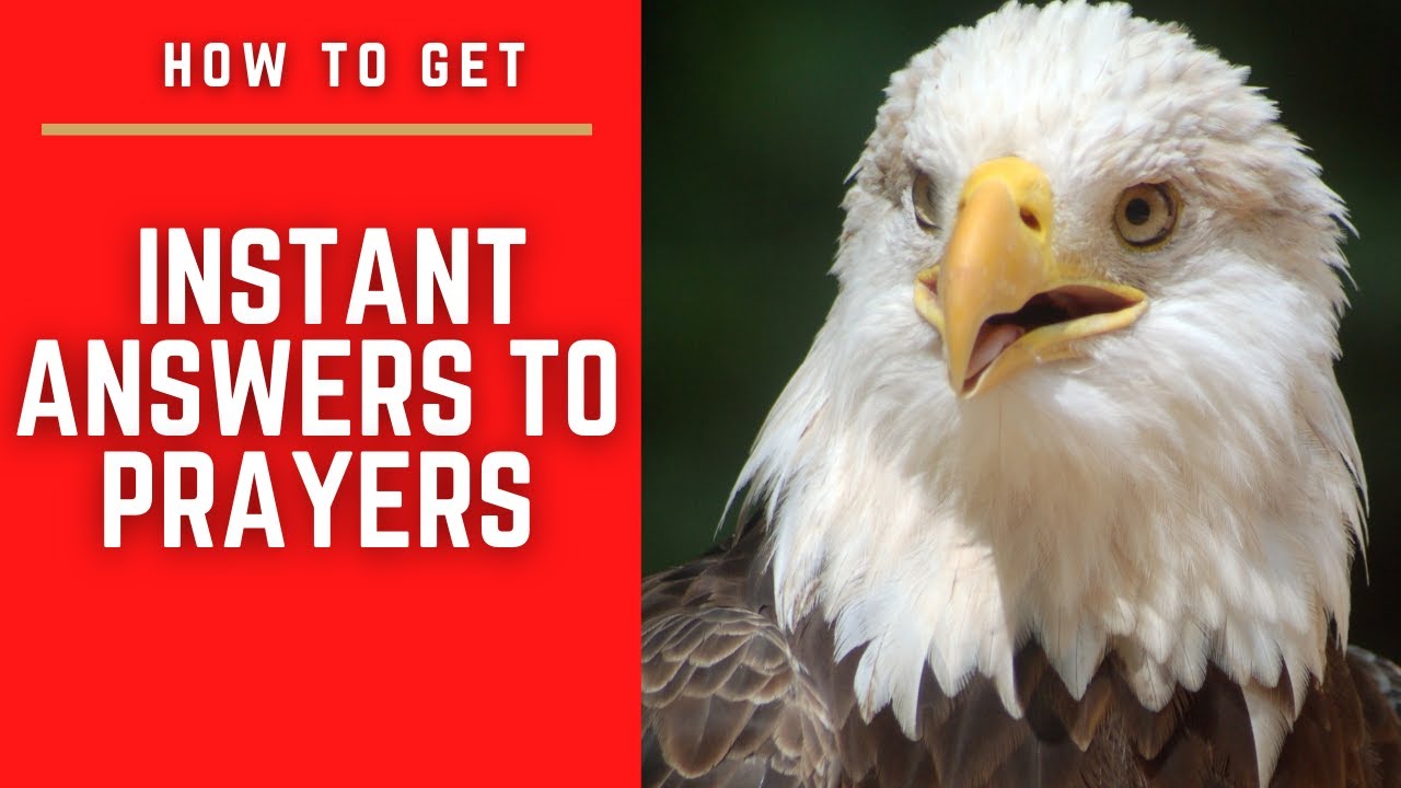 How to Receive Instant Answers to your Prayers | Apostle Bongani ...