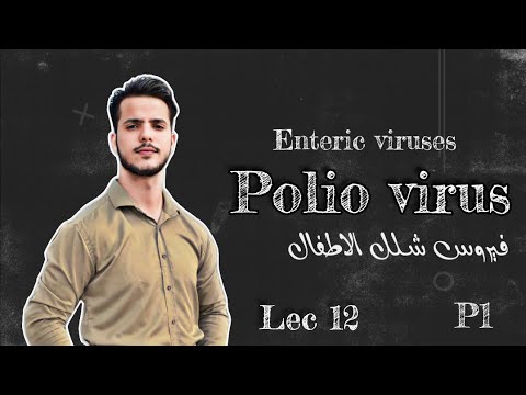 Enteric viruses (Polio virus) - Lec 12 - P1 - YouTube