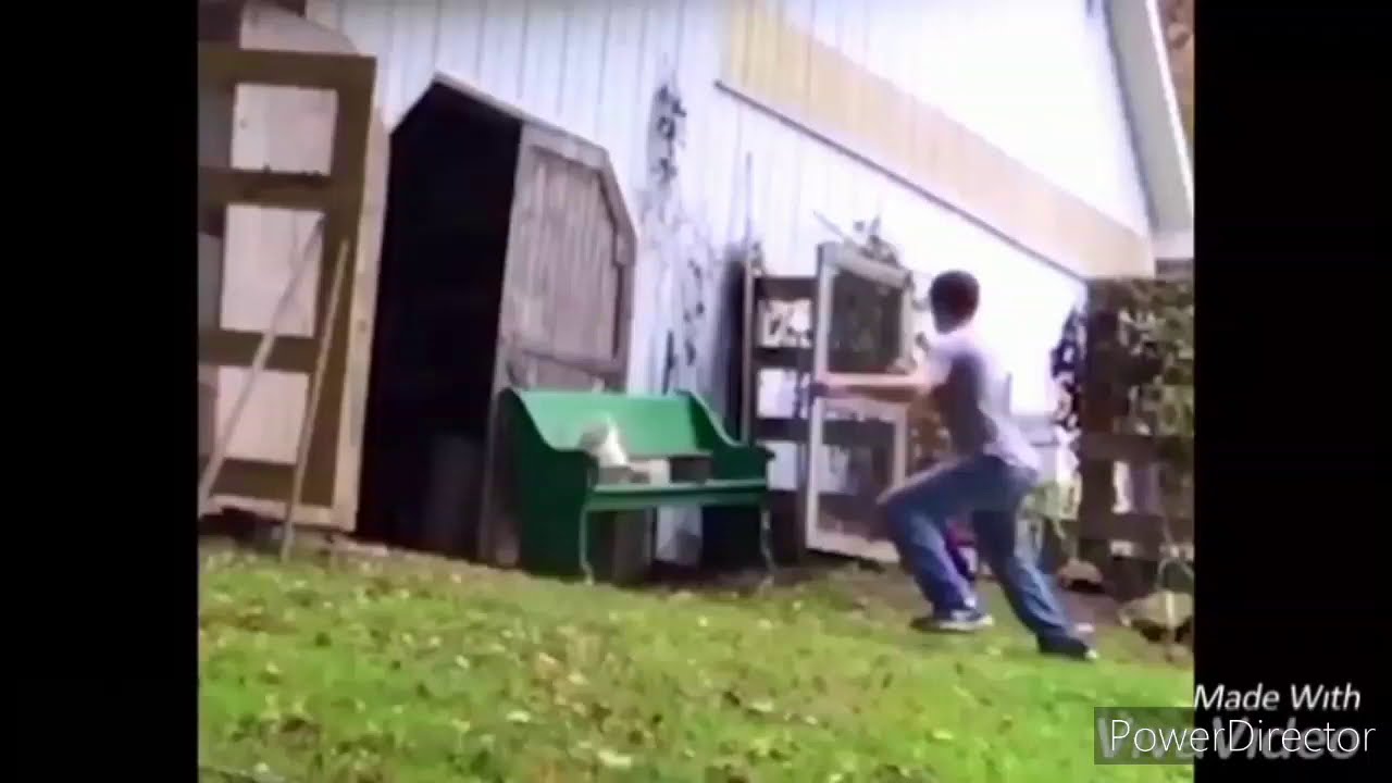 Funny chickens Chasing kids and adults - funny videos compilation 2020 ...