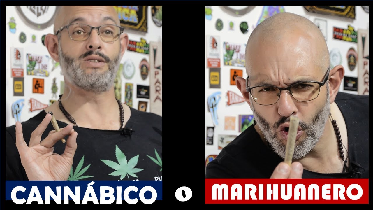 ¿Cannábico o Marihuanero? - YouTube