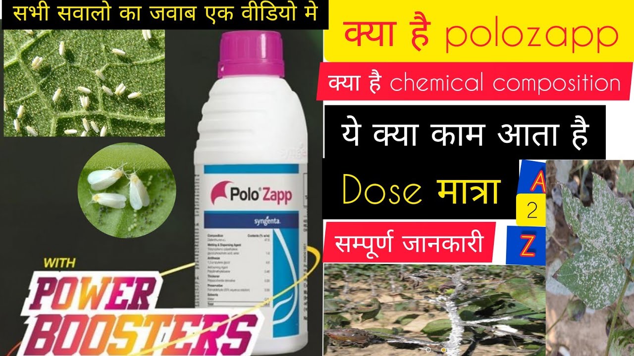 polo Zapp Broad spectrum insecticide Diafenthiuron 47.8% Syngenta ...