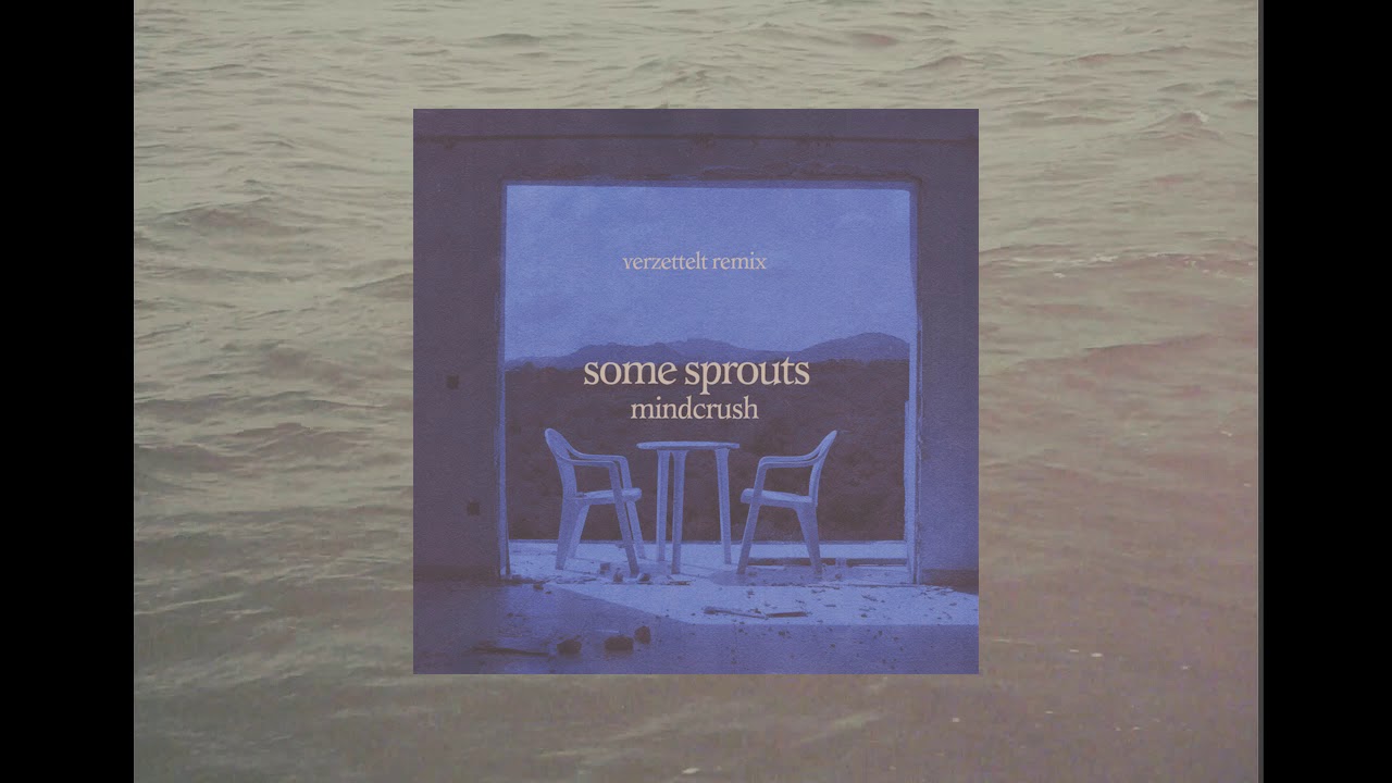 Some Sprouts - Mindcrush (verzettelt remix) - YouTube