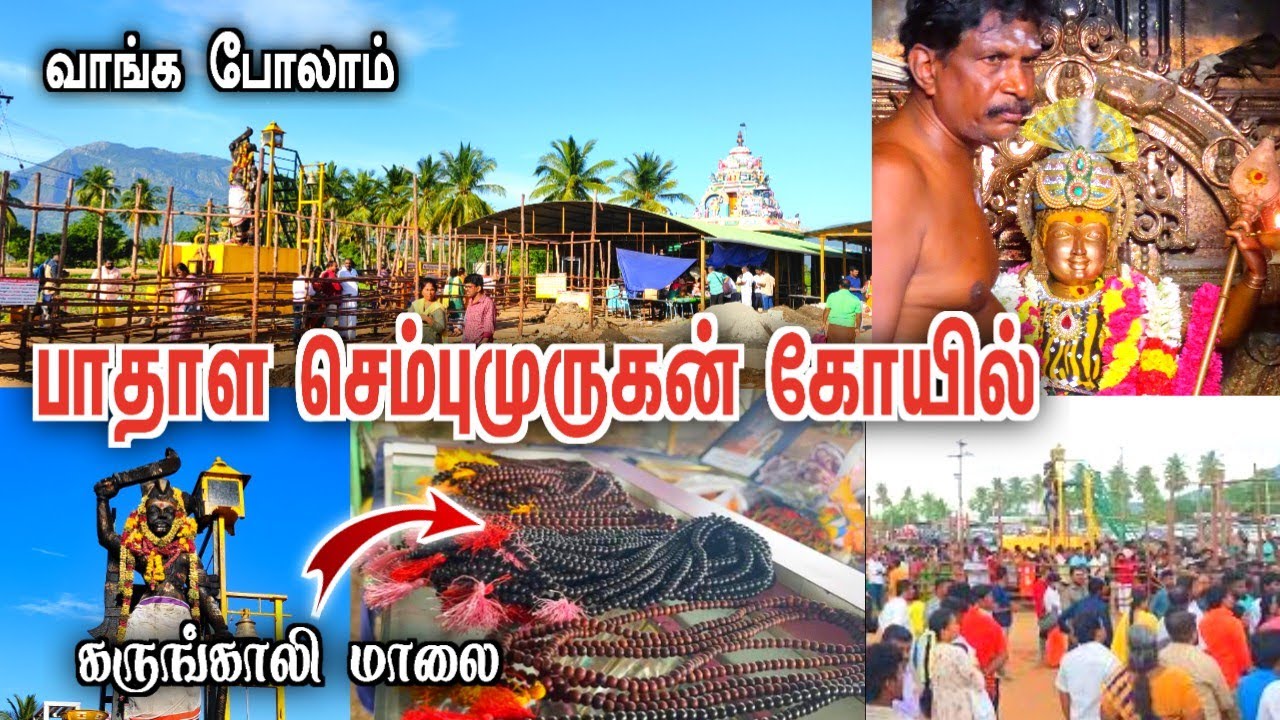 😱பாதாள செம்பு முருகன் கோயில்🦚கருங்காலி மாலை🔥செம கூட்டம்..pathala ...