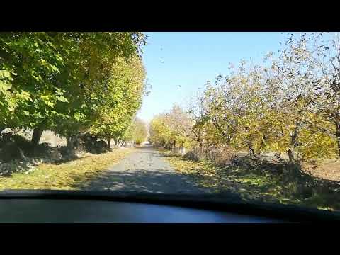 Adaletin bu mu dünya