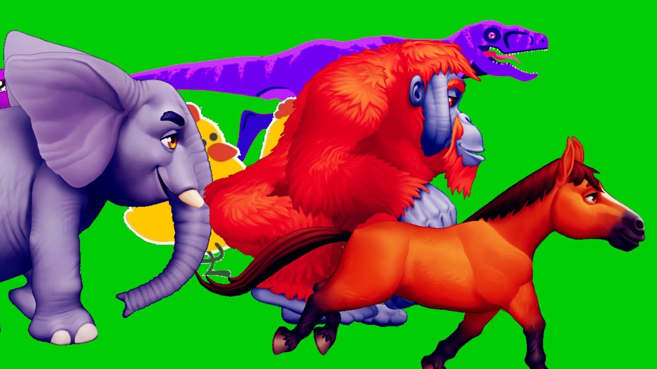 Cartoon Animals in a Real-Life Stampede - YouTube