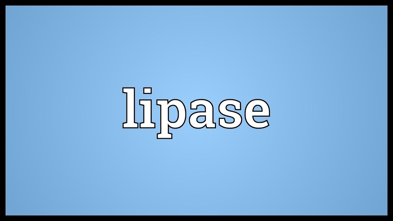 Lipase Meaning - YouTube