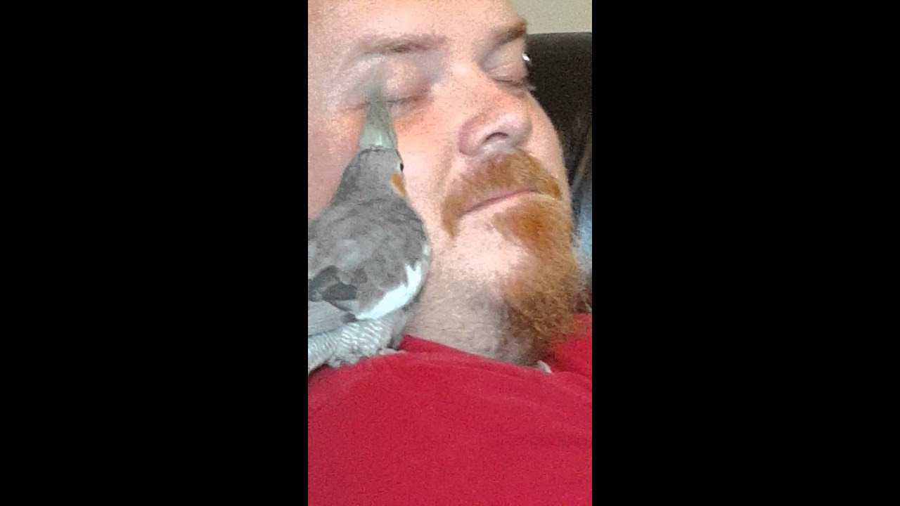 Bogey and hair extraction from nose - YouTube