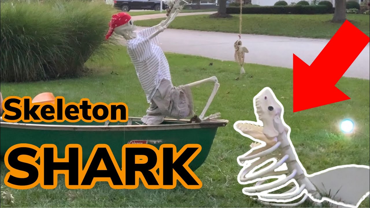 How to build a Skeleton SHARK!! - YouTube