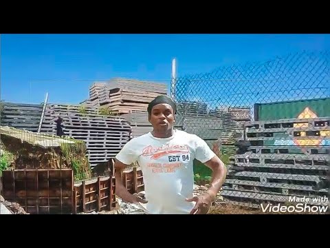 Bagatelle Bridge 1 Year follow up/ Bridges on Canefield grass! - Siri ...