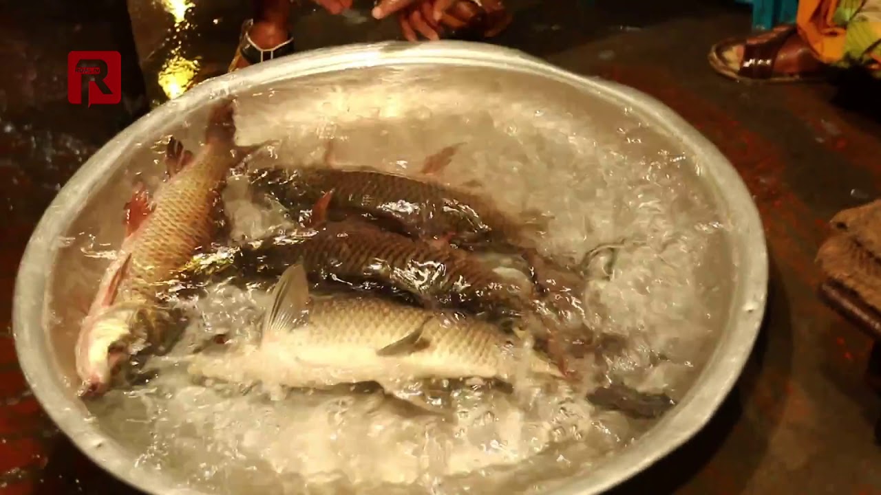 "Savar" is an upazila under the district of Dhaka, with a population of ...