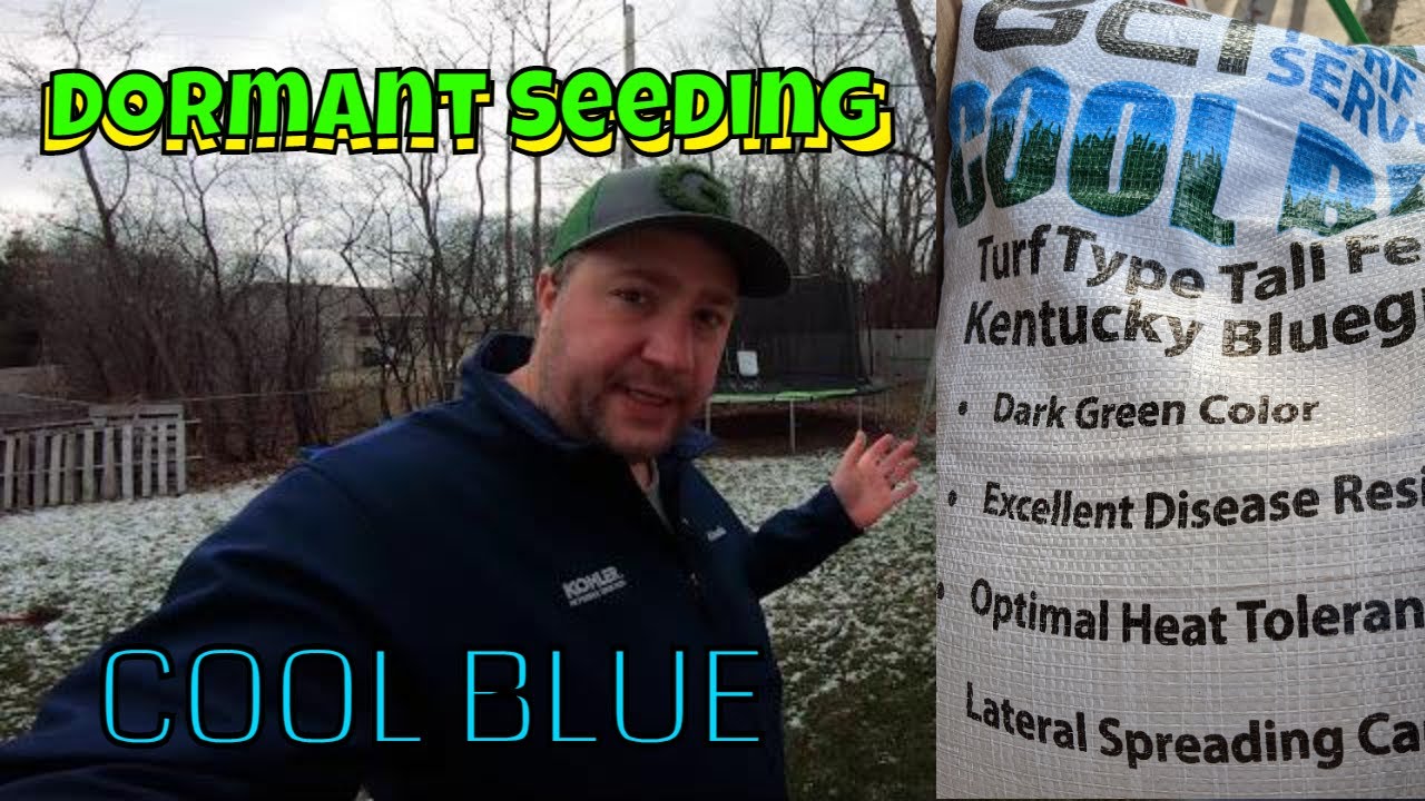 Dormant Seeding - GCI Turf Cool Blue Grass Seed - YouTube