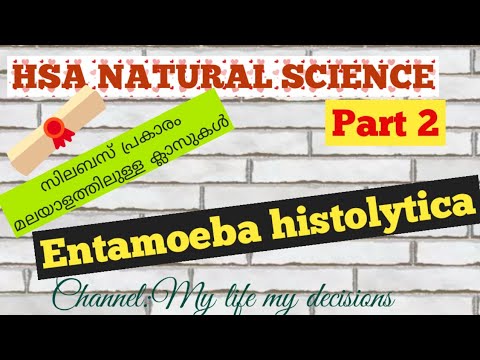HSA NATURAL SCIENCE-PART 2- Entamoeba histolytica - YouTube