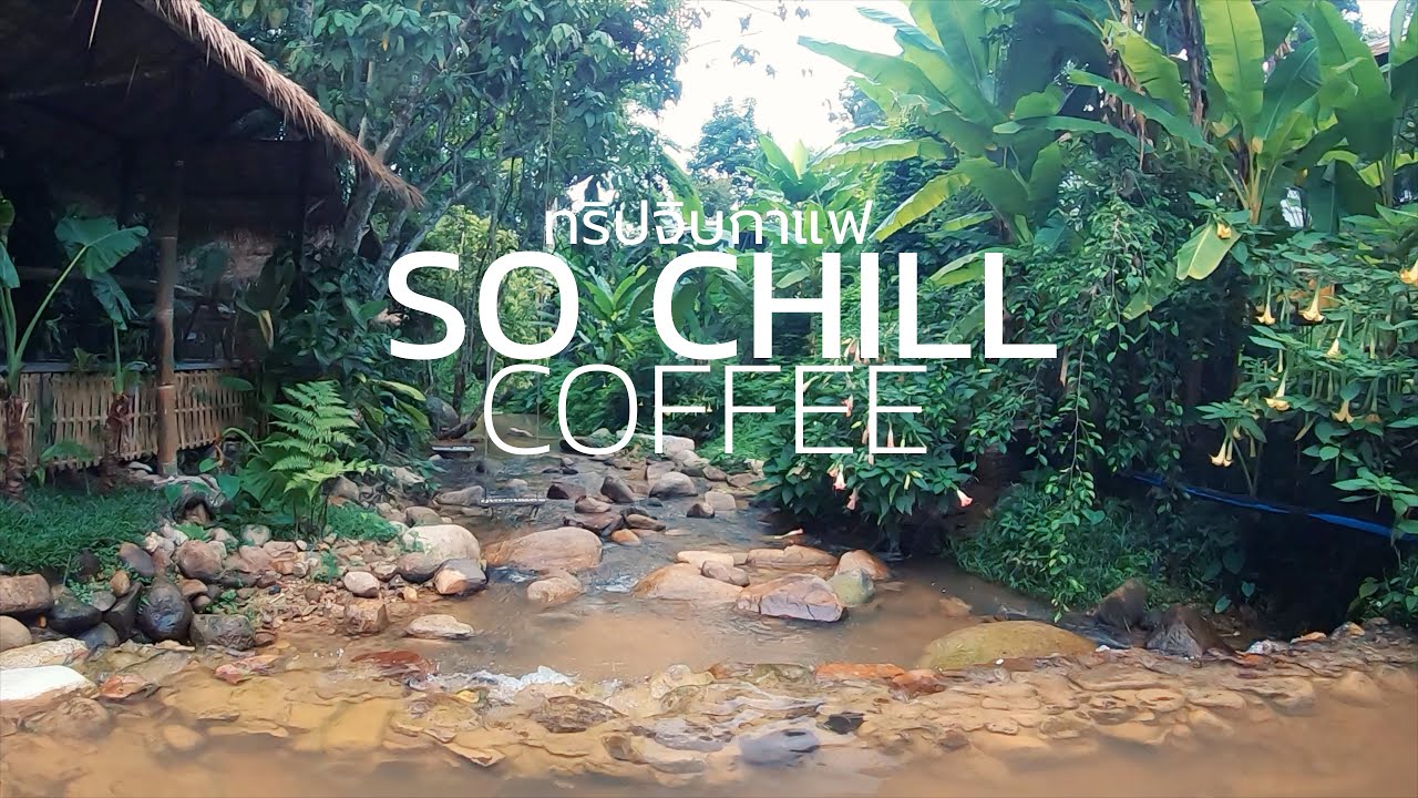 So Chill Coffee, Thepsadet, Chiang Mai โซชิลล์ ค๊อฟฟี่ เทพเสด็จ ...