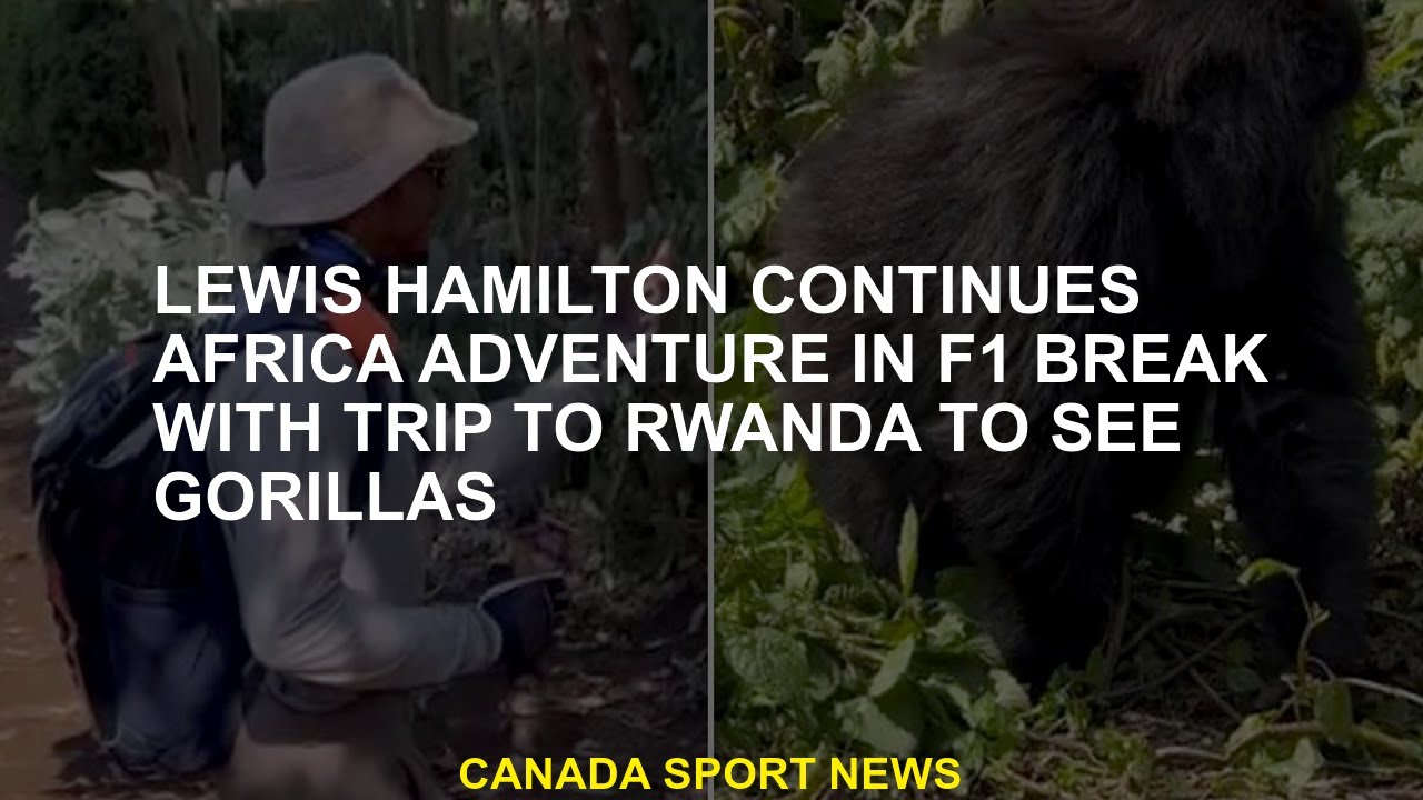 Lewis Hamilton poursuit Africa Adventure en F1 Break with Trip to ...