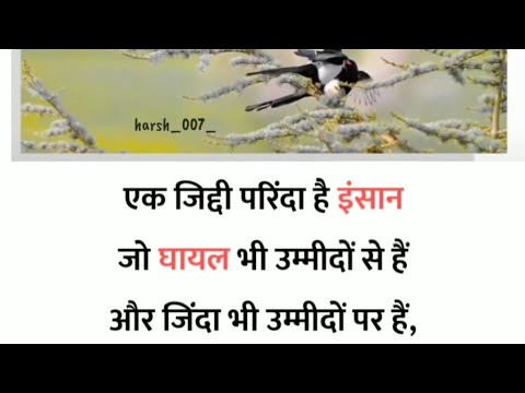 How To Create Trending Status Tik Tok Viral Square Size Status 2020