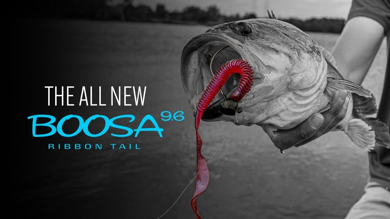Introducing The Boosa 9.6 Ribbon Tail Worm - YouTube
