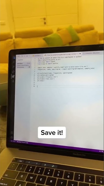 5 Things Every Programmer Needs #shorts - YouTube
