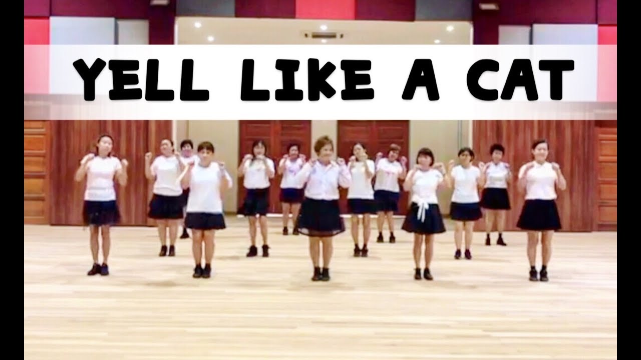 Yell Like A Cat - Line Dance by Edward Tam - YouTube