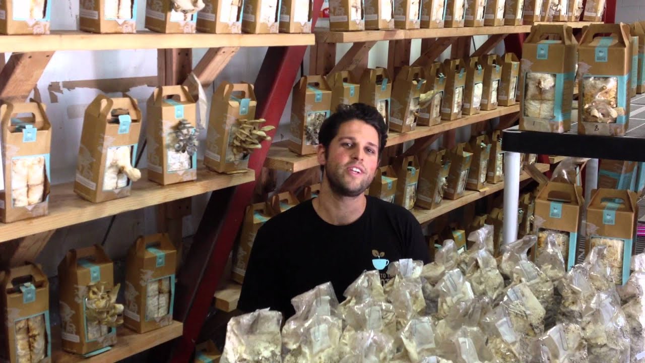 Meet the Team: Office Ninja - YouTube