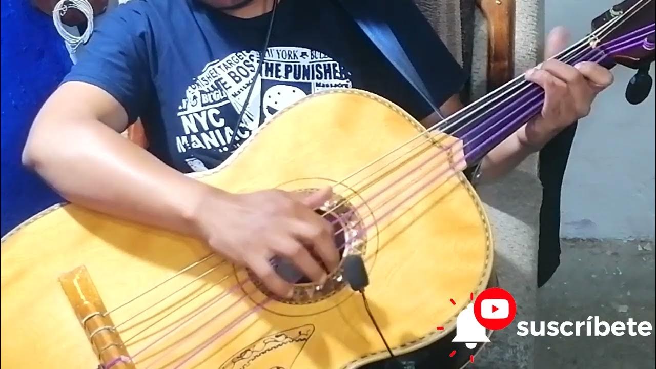 EL GUSTITO (MARIACHI INTERNACIONAL DE MEXICO) GUITARRON (IMPROVISACION ...