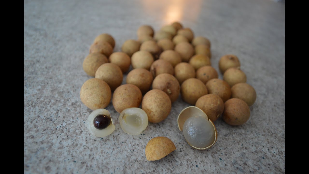 How to Prepare & Eat Longan Fruit: Cooking with Kimberly - YouTube