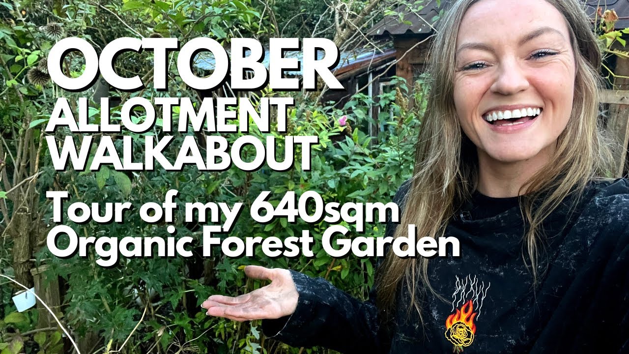 October Tour of my Two Allotment Plots - YouTube