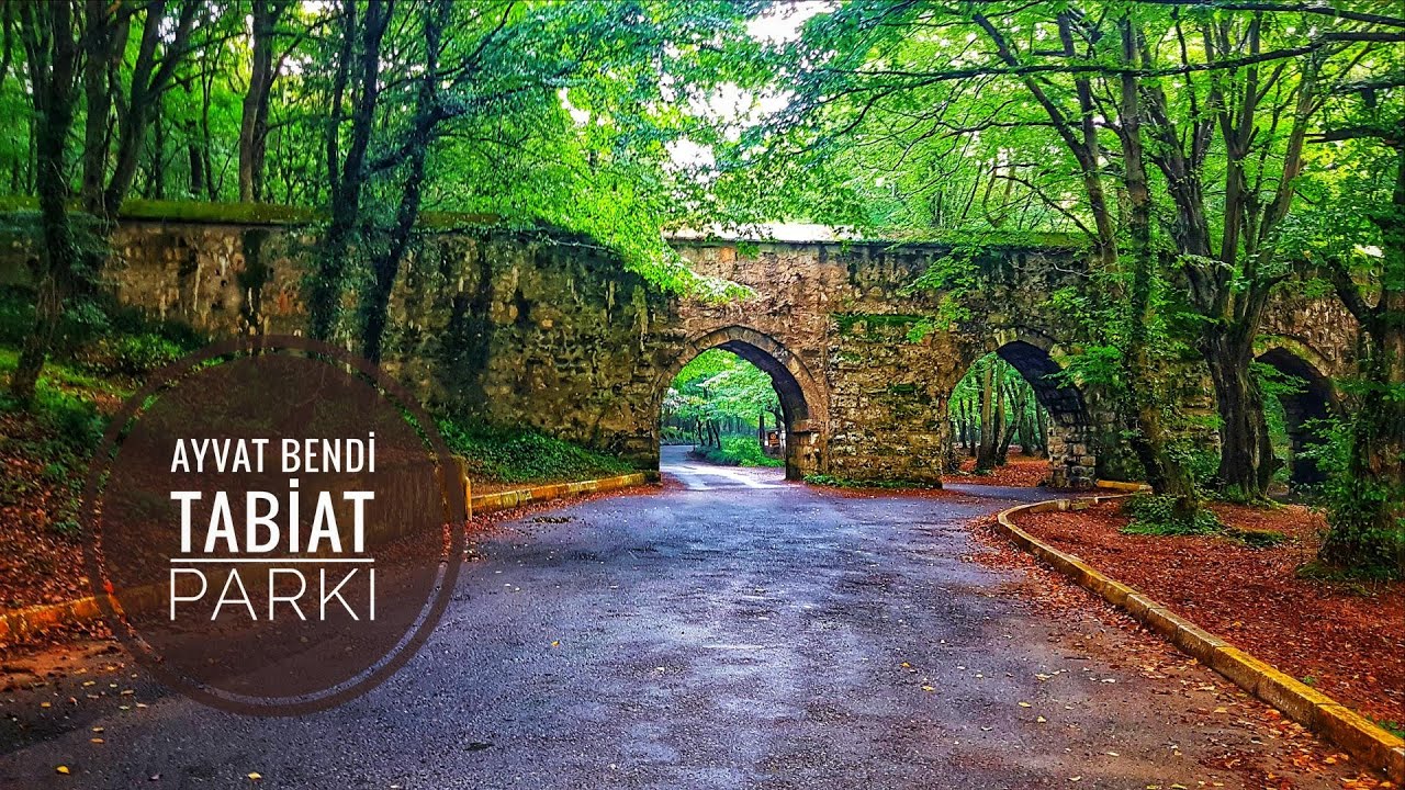 AYVAT BENDİ TABİAT PARKI - AYVAT GÖLETİ (AYVAD BENDİ MESİRE YERİ ...