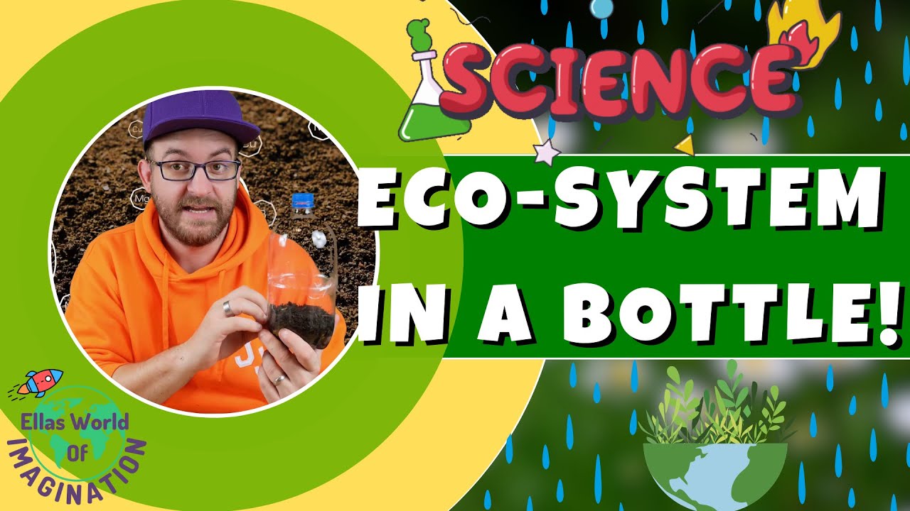 🌿 DIY Mini Ecosystem in a Bottle with J.J: Fun & Educational Kids ...