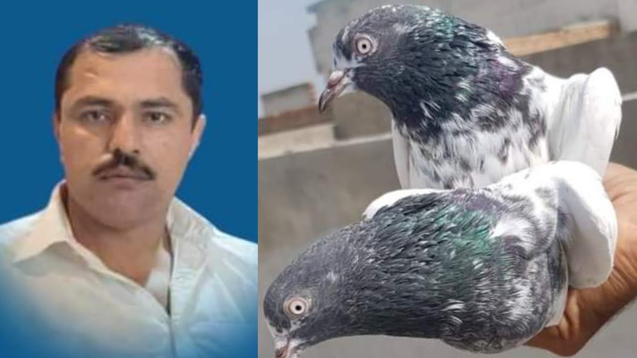 Ustad Asim Azam Pahlwan Sab ki chat se shoq ... - YouTube