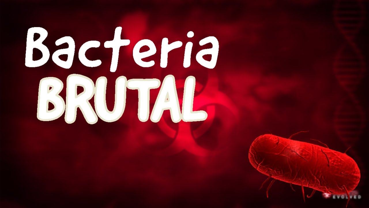 Plague Inc: How To Beat Bacteria On Brutal! *2021 Updated!* No Genes ...