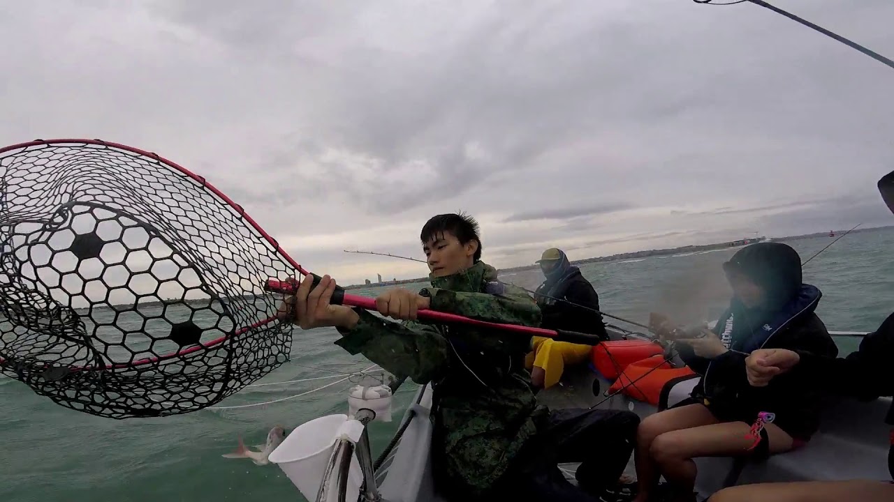 Whaly Fishing Snapper Action - YouTube