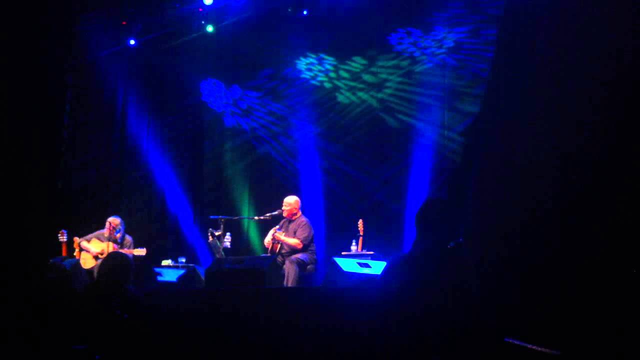 Bees wing Christy Moore - YouTube Music