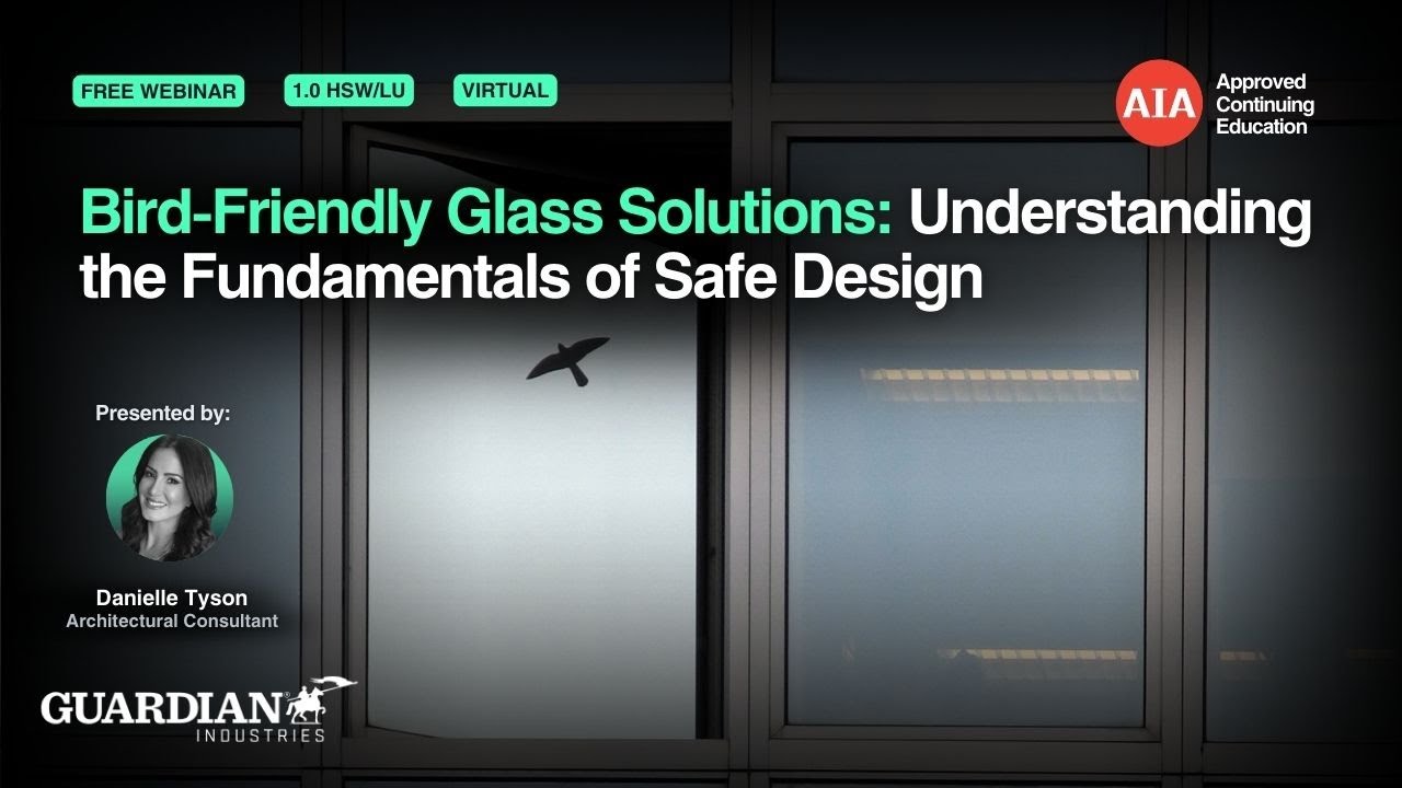 Bird-Friendly Glass Solutions: Understanding the Fundamentals of Safe ...