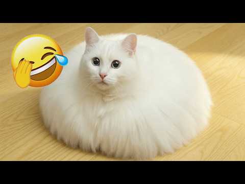 Попробуй НЕ засмеяться 😂 Самые смешные видео с кошками и собаками 2026 года