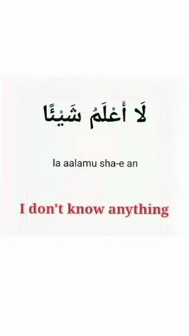 How to say I Don't Know Anything in Arabic#Arabic vocab#Shorts - YouTube