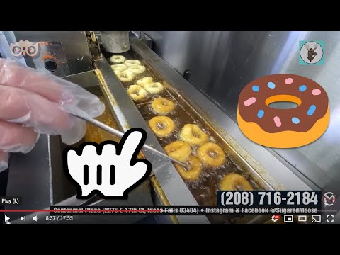 Knowsy Neighbors Visit Sugared Moose Mini Doughnuts in Idaho Falls ...